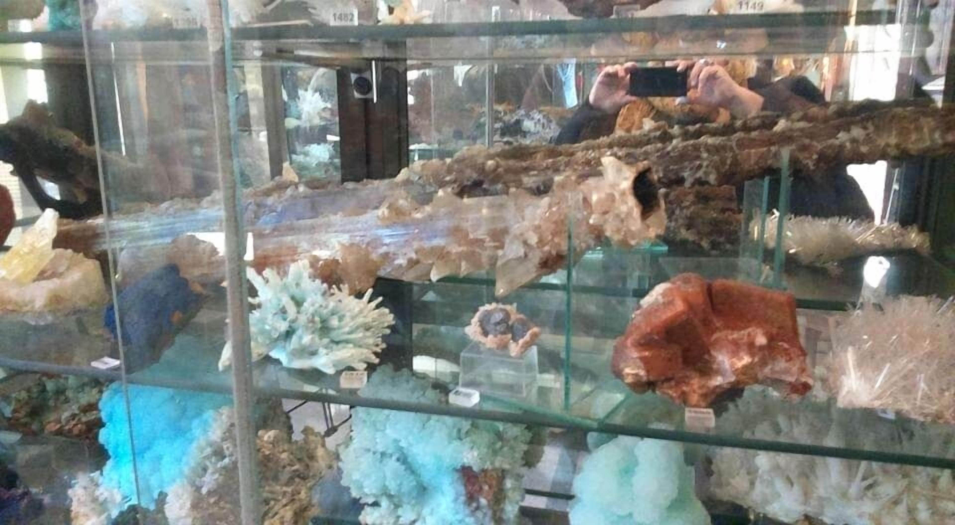 Uma vitrine com diversos espécimes geológicos.