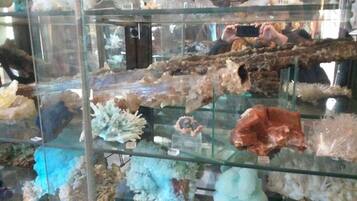 Uma vitrine com diversos espécimes geológicos.