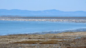 Quarto superior, várias camas, de frente para o mar | Vista do quarto