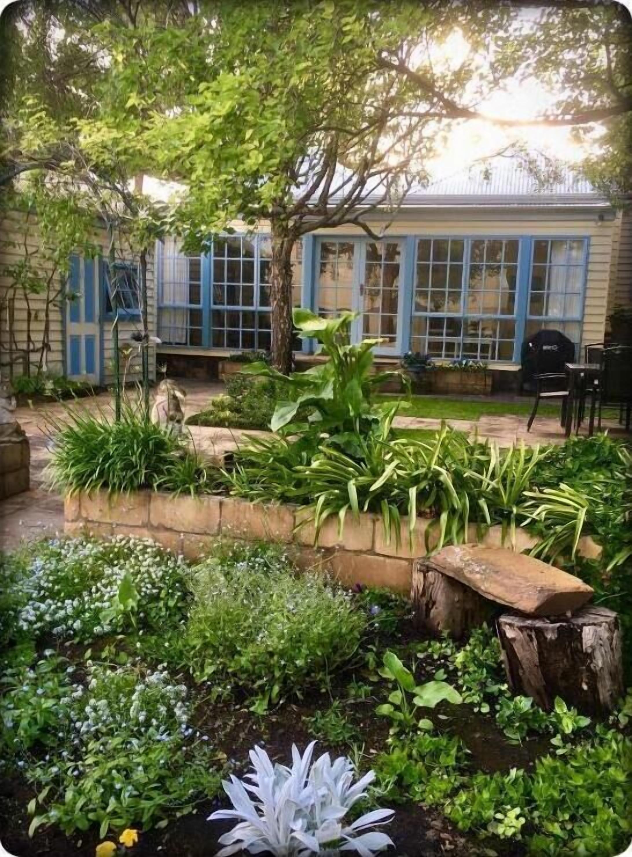 Um jardim com diversas plantas e um banco de madeira.
