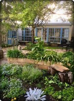 Um jardim com diversas plantas e um banco de madeira.