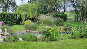 Jardim