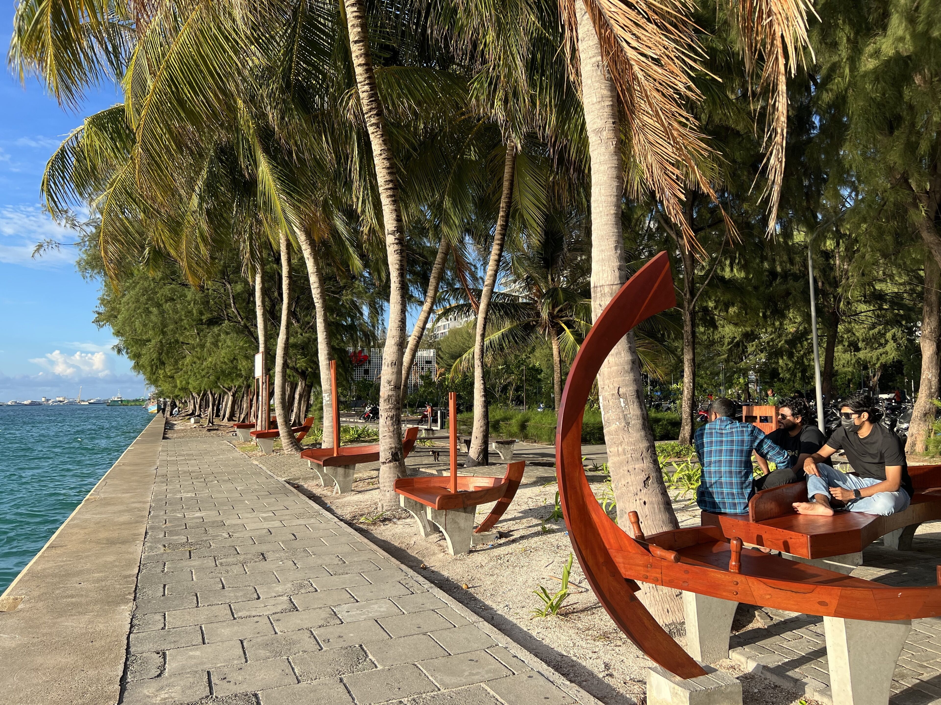 Um calçadão à beira-mar com bancos e palmeiras.