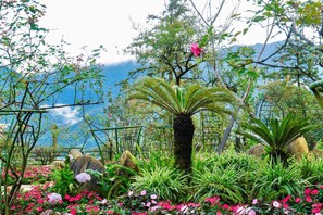 Jardim