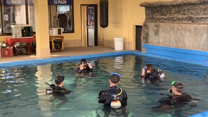 Um grupo de pessoas em uma piscina, algumas usando equipamentos de mergulho, com um edifício ao fundo.