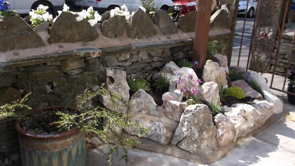 White Rose - ウィンダミア