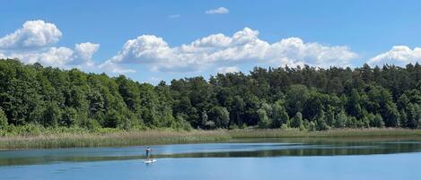 Um lago calmo com uma pessoa praticando paddleboard, rodeado por uma floresta densa e um céu limpo.