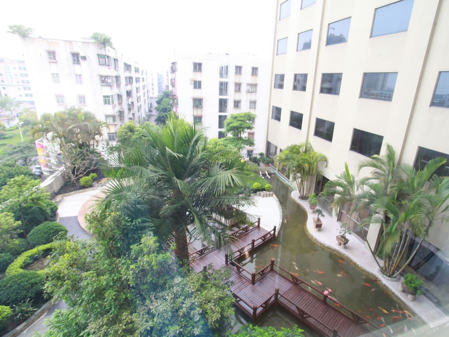 Vista para o jardim