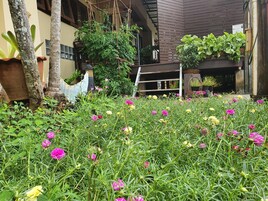 Terrenos do alojamento