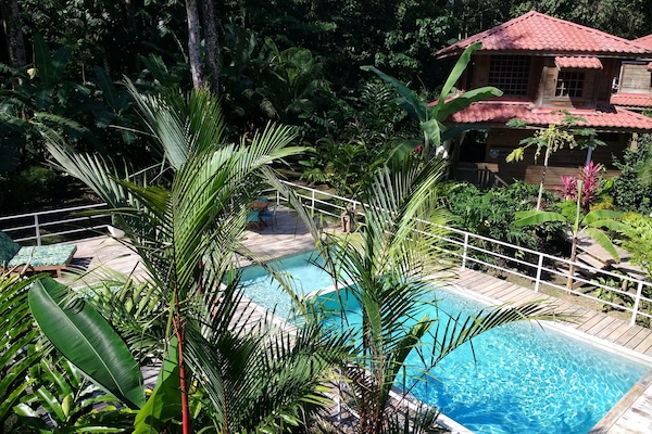 Piscina exterior, guarda-sóis, espreguiçadeiras