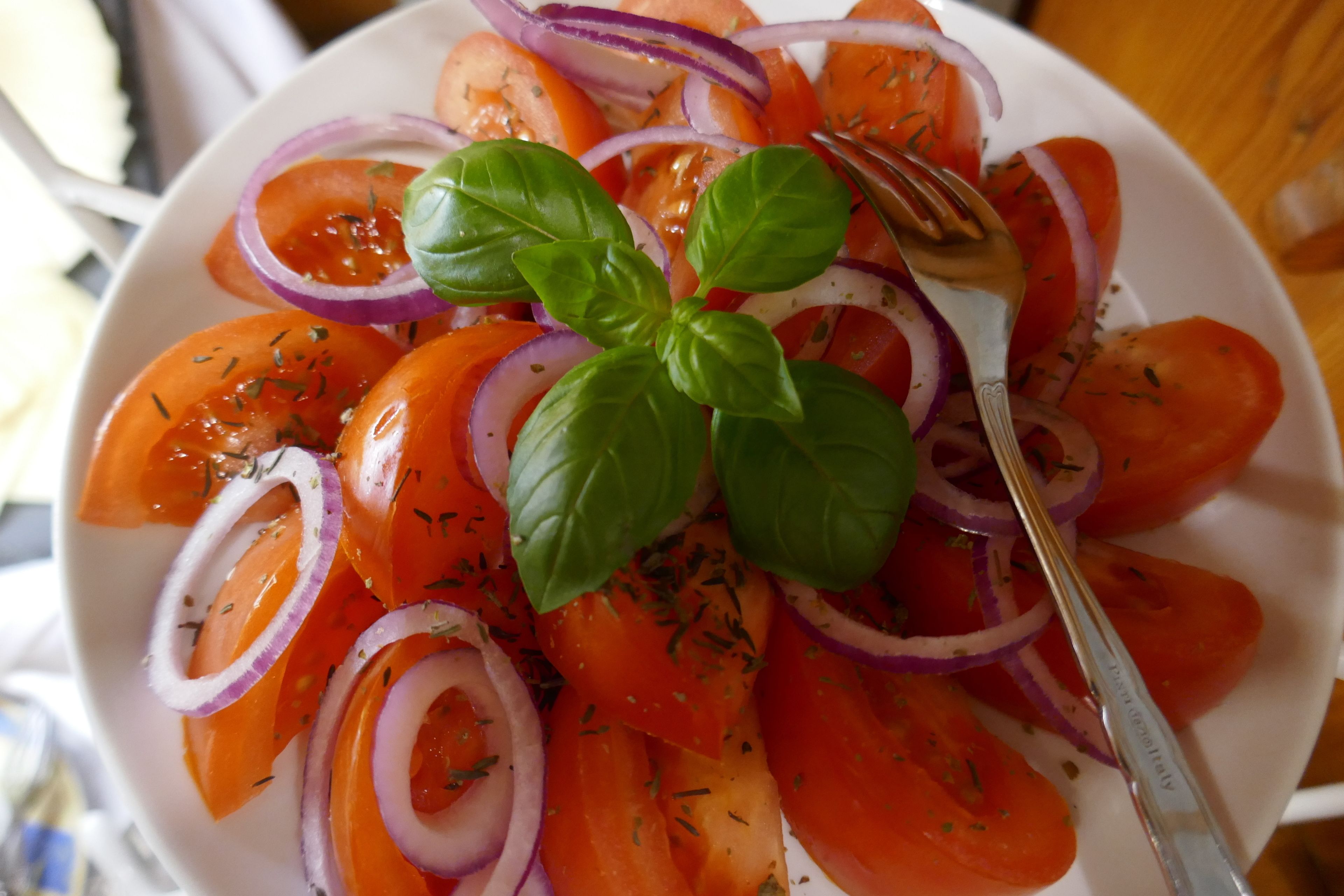 Um prato de tomates fatiados e cebola vermelha, decorado com folhas de manjericão.