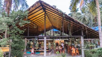 Pequenos-almoços, almoços, jantares servidos, cozinha vegan