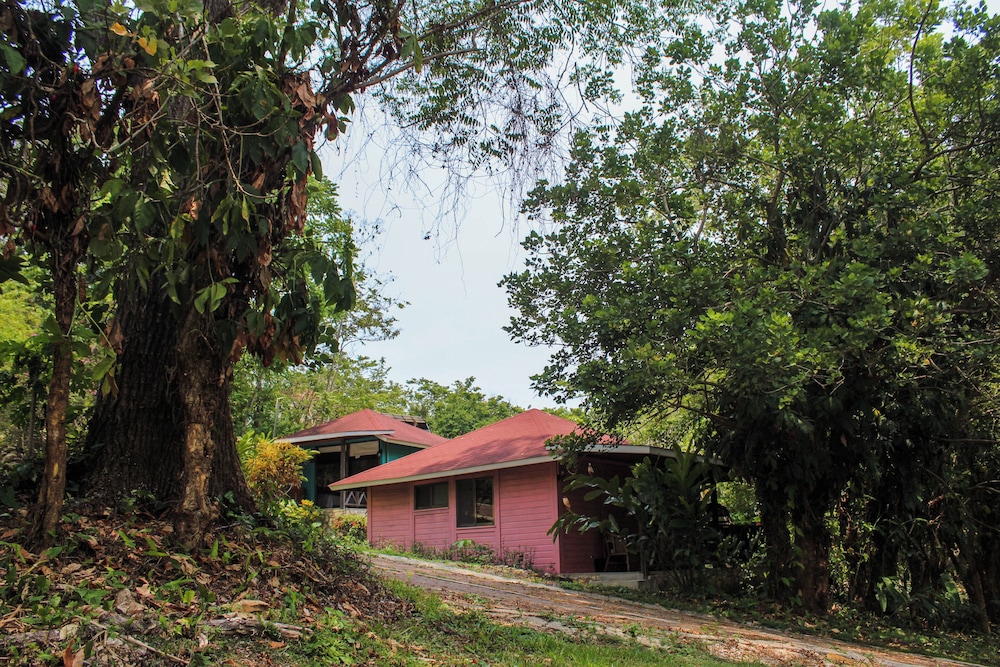 WinÃka Alterra - Tabasco