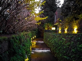 Jardim