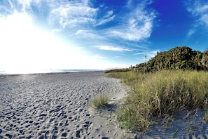 Uma praia com areia, grama e céu claro.