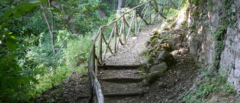 Uma escadaria de madeira que sobe por um caminho pedregoso numa área arborizada.