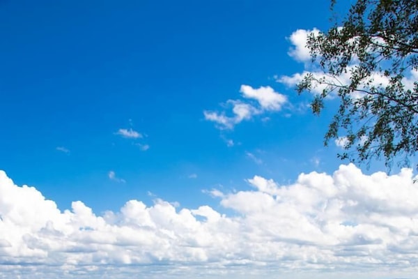 Na praia, prática de mergulho livre no local, prática de vôlei de praia