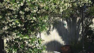 Jardim