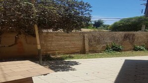 Um espaço de pátio pavimentado com um muro baixo e uma árvore.