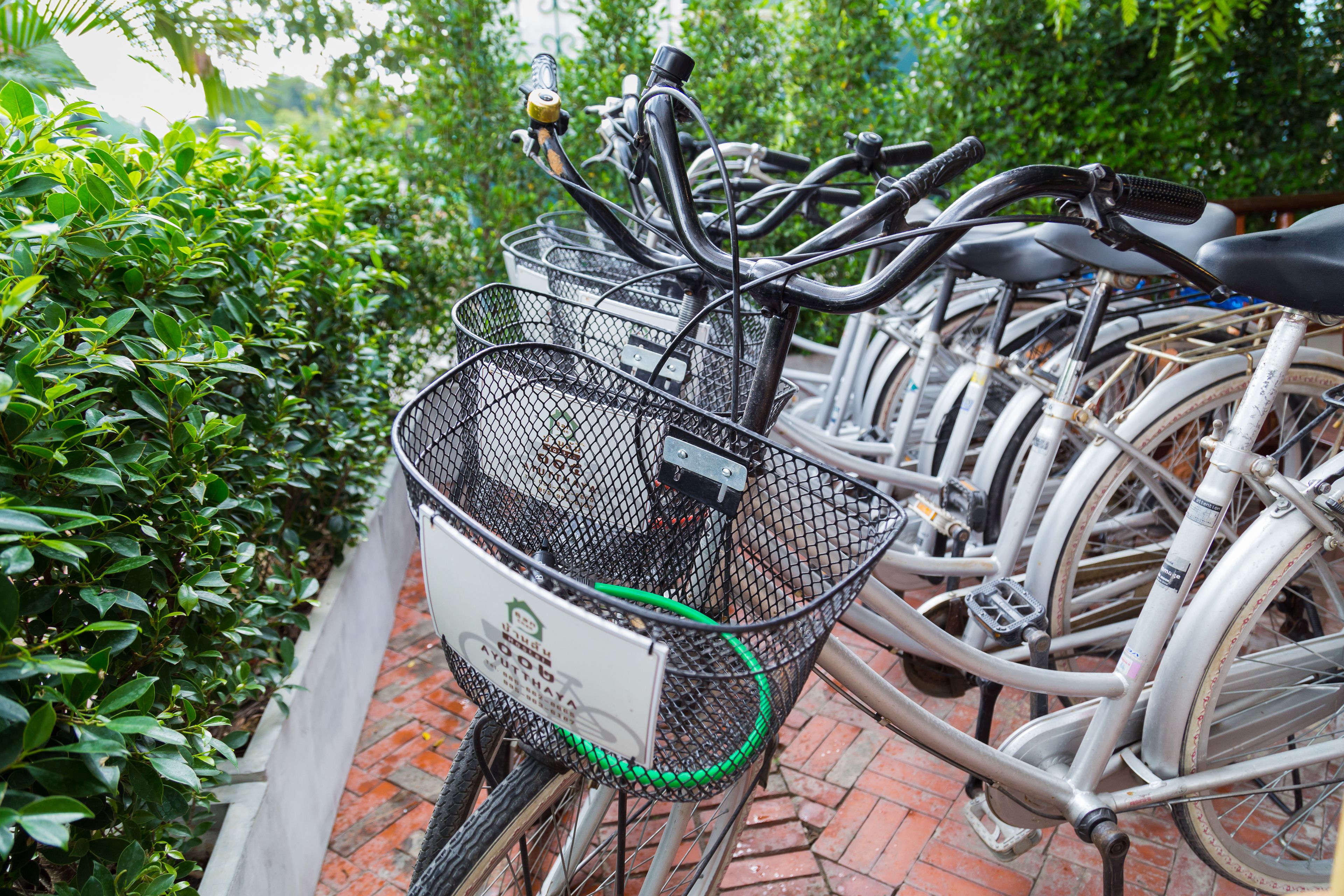 Bicicleta com cesto na frente, estacionada em um caminho de tijolos.