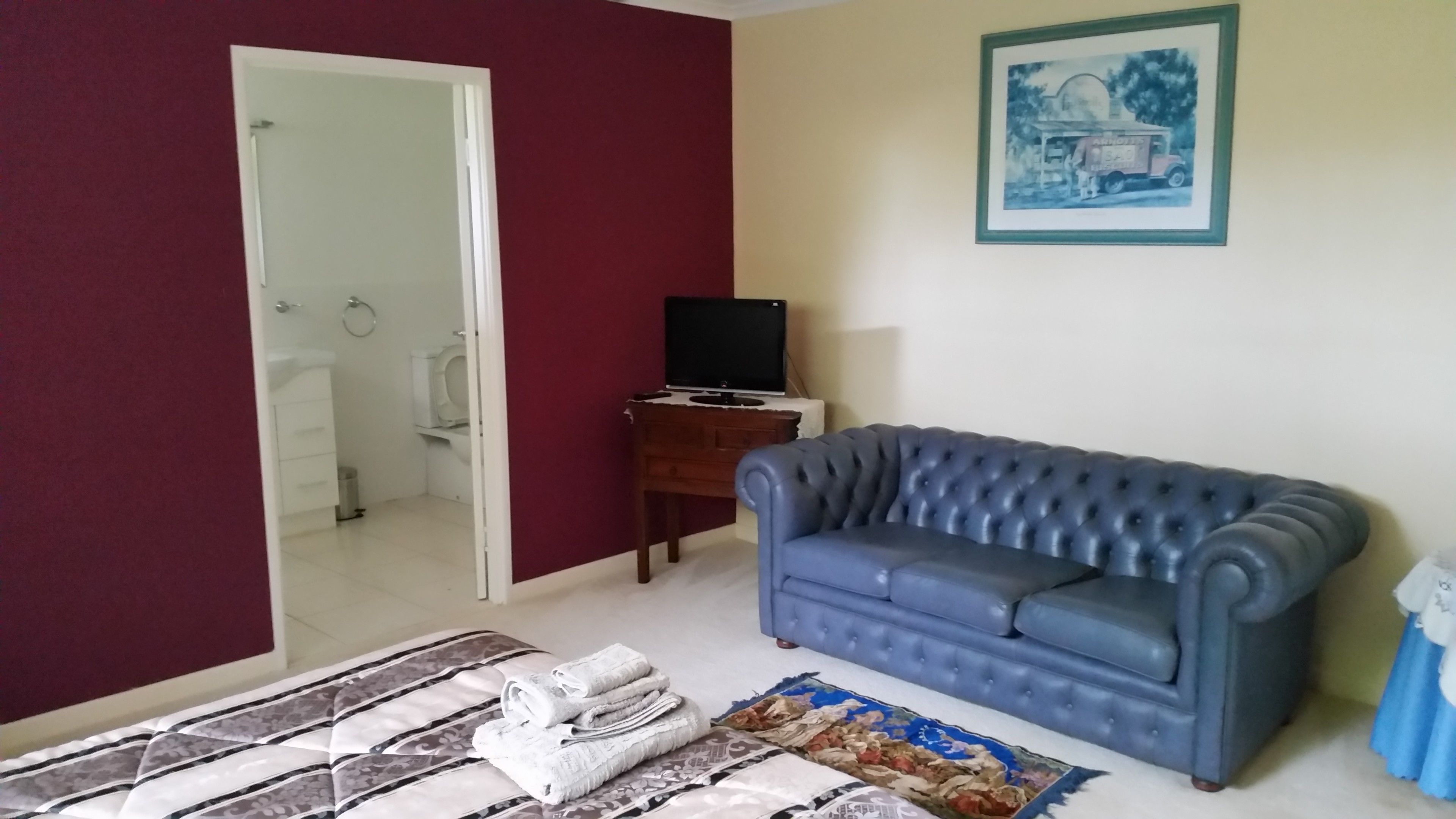 Uma sala de estar com um sofá azul, uma televisão em um móvel de madeira, um quadro pendurado na parede e um tapete estampado.