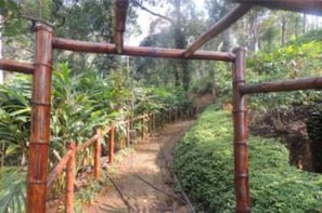 Área da propriedade