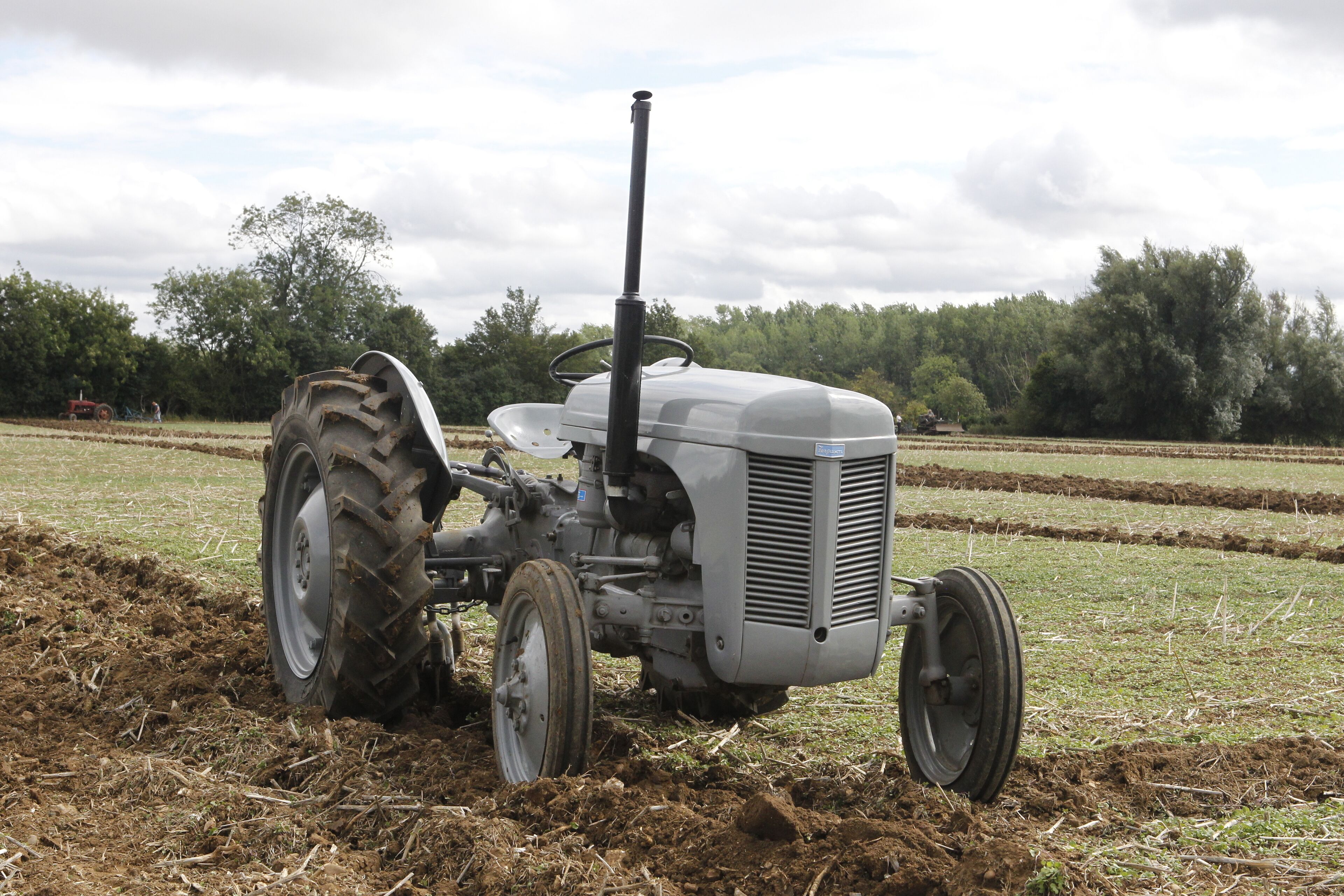 Um trator em um campo com fileiras de plantações.