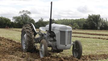 Um trator em um campo com fileiras de plantações.