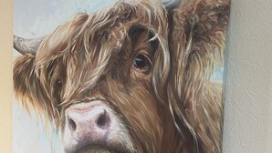 Pintura de uma vaca com um chifre grande, pendurada numa parede com textura.