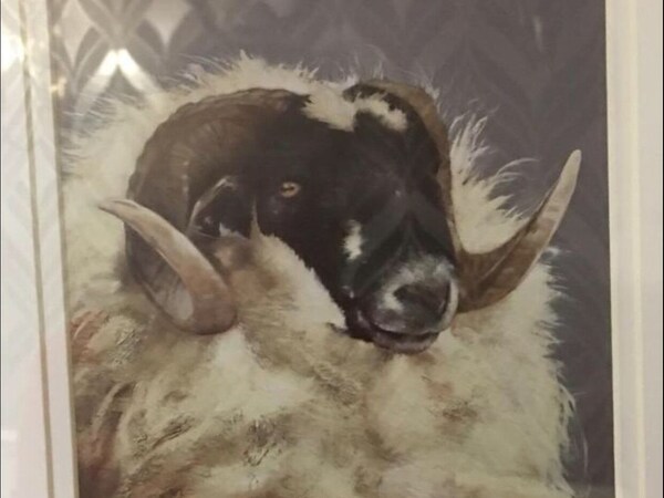 Highfield House - Skipton