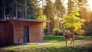 Uma cabana rústica com porta e um pequeno alpendre, rodeada por uma área arborizada.
