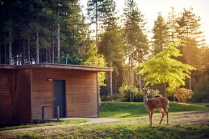 Uma cabana rústica com porta e um pequeno alpendre, rodeada por uma área arborizada.