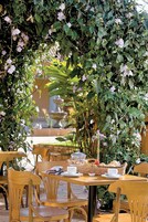 Bar (na propriedade)