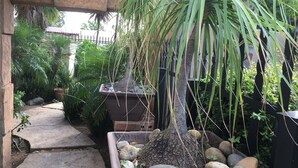 Um jardim com um caminho, um canteiro com uma árvore e diversas plantas.