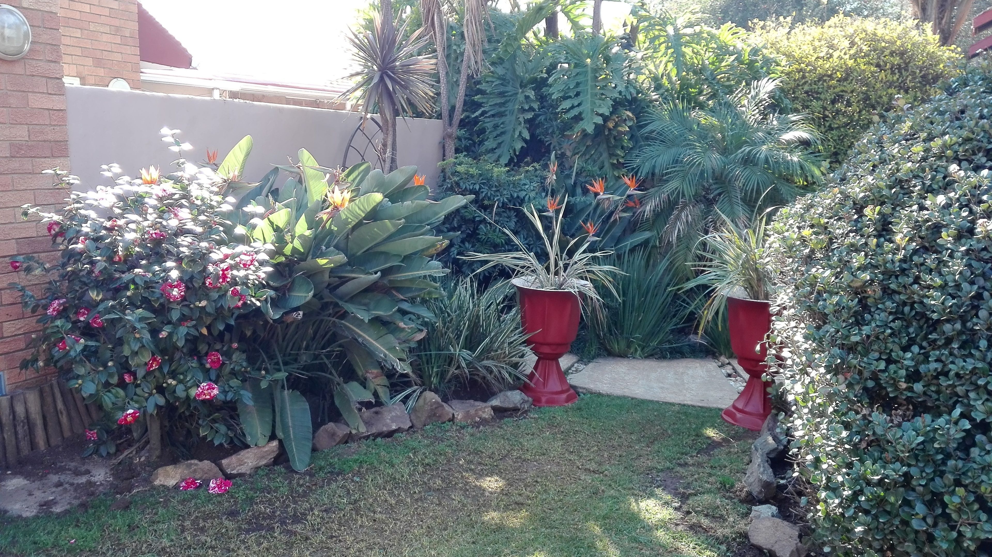 Um jardim com diversas plantas e flores, um muro de tijolos e um caminho.