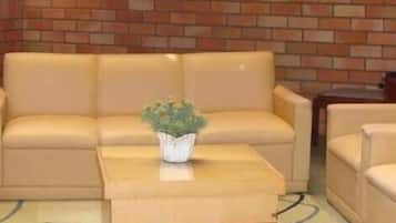 Televisor