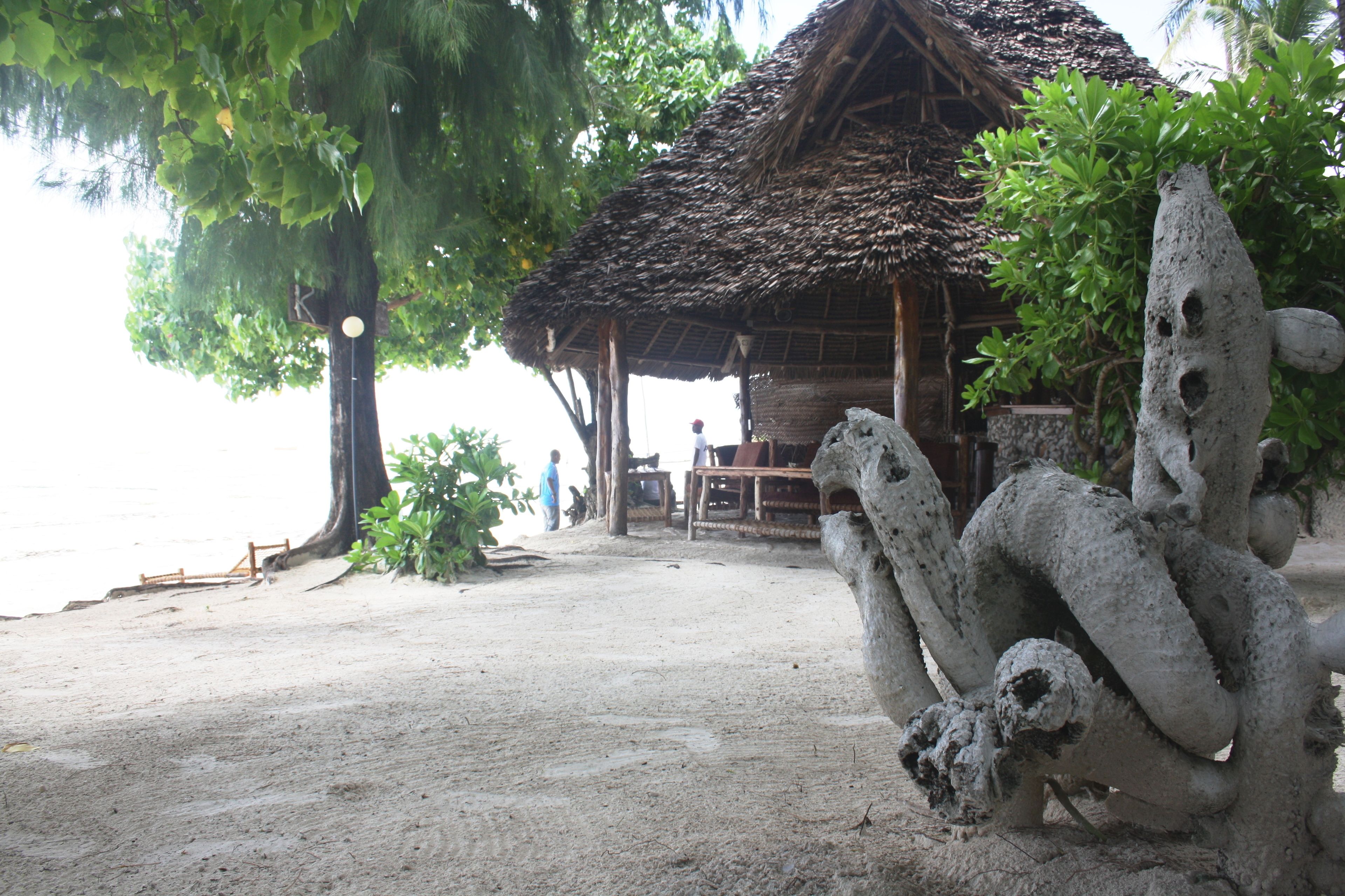 Uma cabana à beira-mar com telhado de palha, rodeada por areia e vegetação.