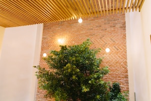 Entrada