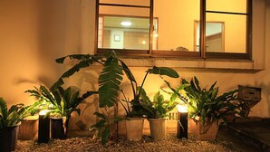 Uma fileira de plantas em vasos do lado de fora de um edifício, com uma janela refletindo um ambiente interno.