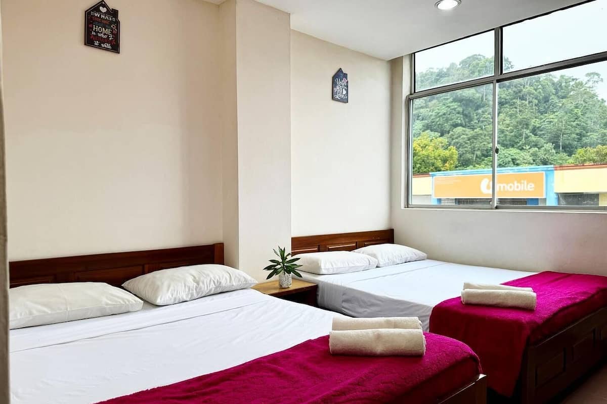 Quarto Superior | Secretária, Wi-fi grátis