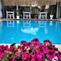 Piscina com um telhado de palha e vasos de plantas ao redor.