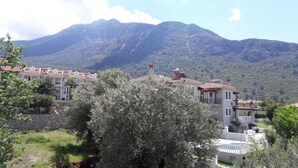Área residencial com casas de telhados vermelhos, rodeada por oliveiras e ao fundo, uma montanha.