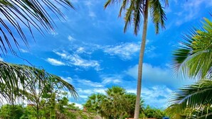 Um jardim tropical com palmeiras, uma estrutura de telhado de palha e um gramado bem cuidado.