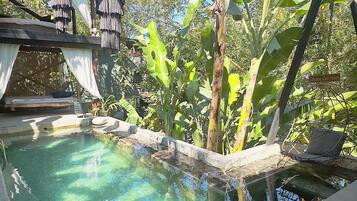 Piscina externa