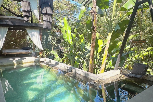 Piscina externa