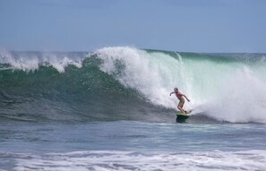 Na praia, surf/bodyboard 