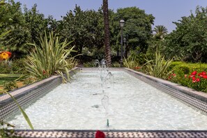 Jardim