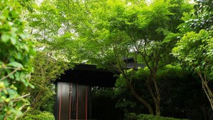 Um edifício tradicional japonês, com estrutura de madeira e uma escadaria que leva a uma entrada coberta.