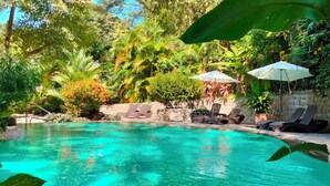 Piscina transparente com espreguiçadeiras e guarda-sóis, cercada por vegetação exuberante e uma parede de pedra.