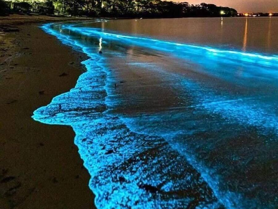 Perto da praia, toalhas de praia, pesca